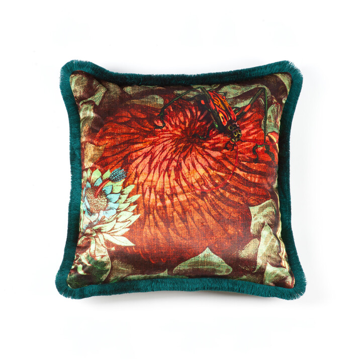 Velvet Cushions | Luxury Cushions | Timorous Beasties